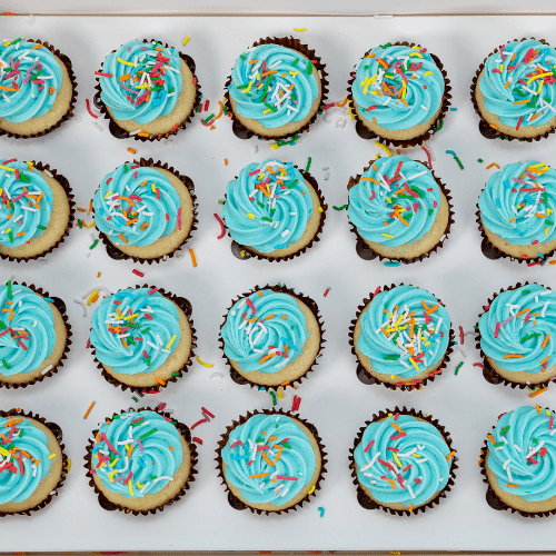 Blue Jimmies Mini Cupcakes (24)