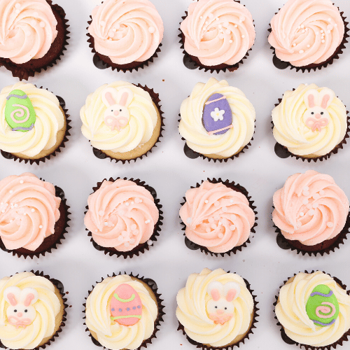 Easter Egg Hunt Mini Cupcakes (24)