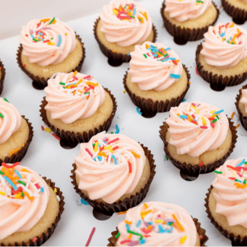 Pink Jimmies Mini Cupcakes (24)